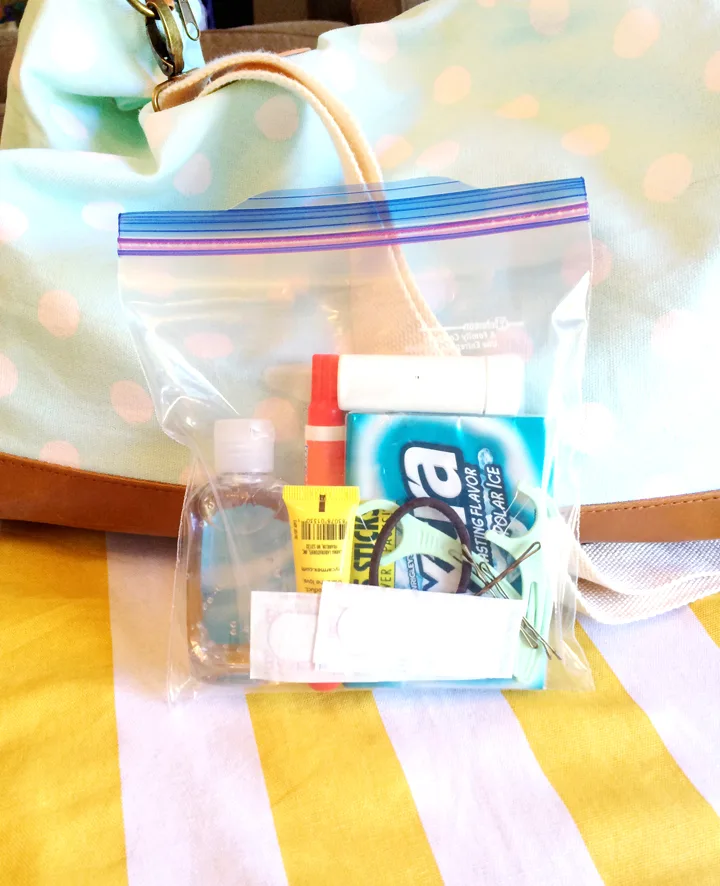 DIY Purse Essentials Kit