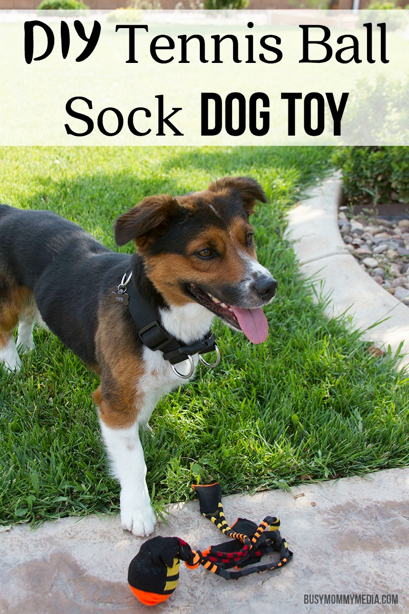 DIY Tennis Ball Sock Dog Toy