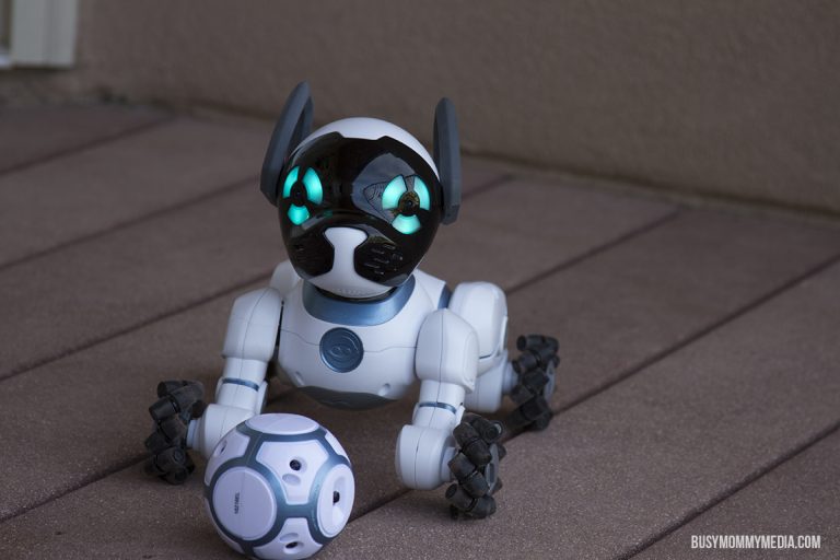 Powering Imagination with WowWee