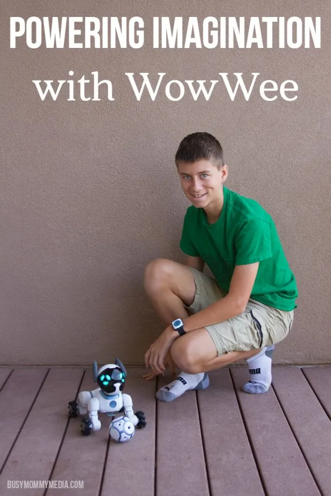 Powering Imagination with WowWee