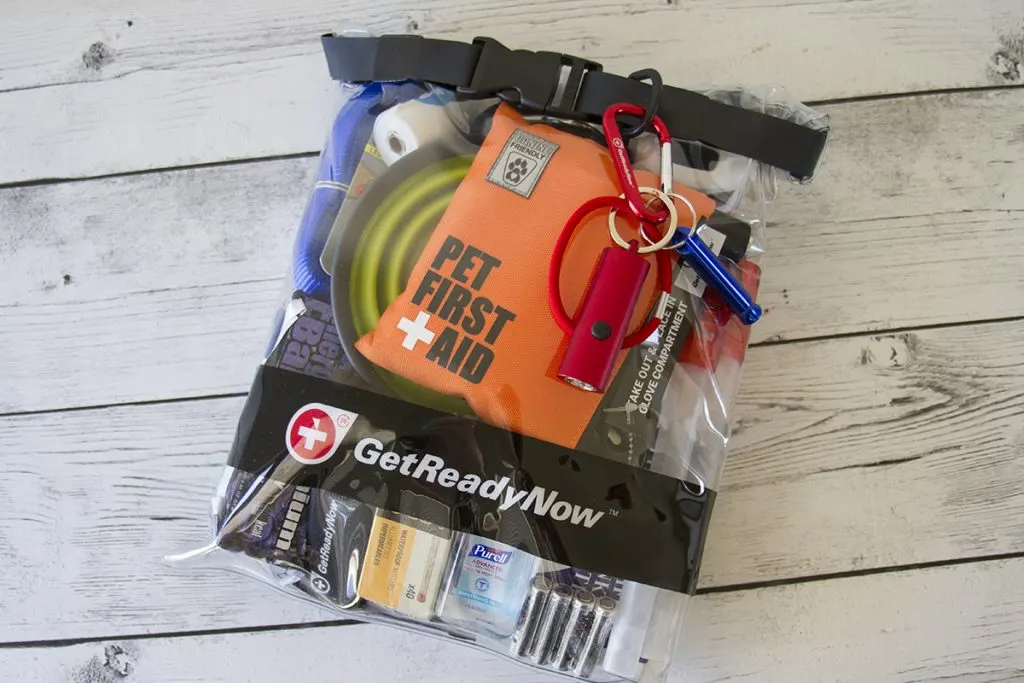 Tips for Traveling with your Pet