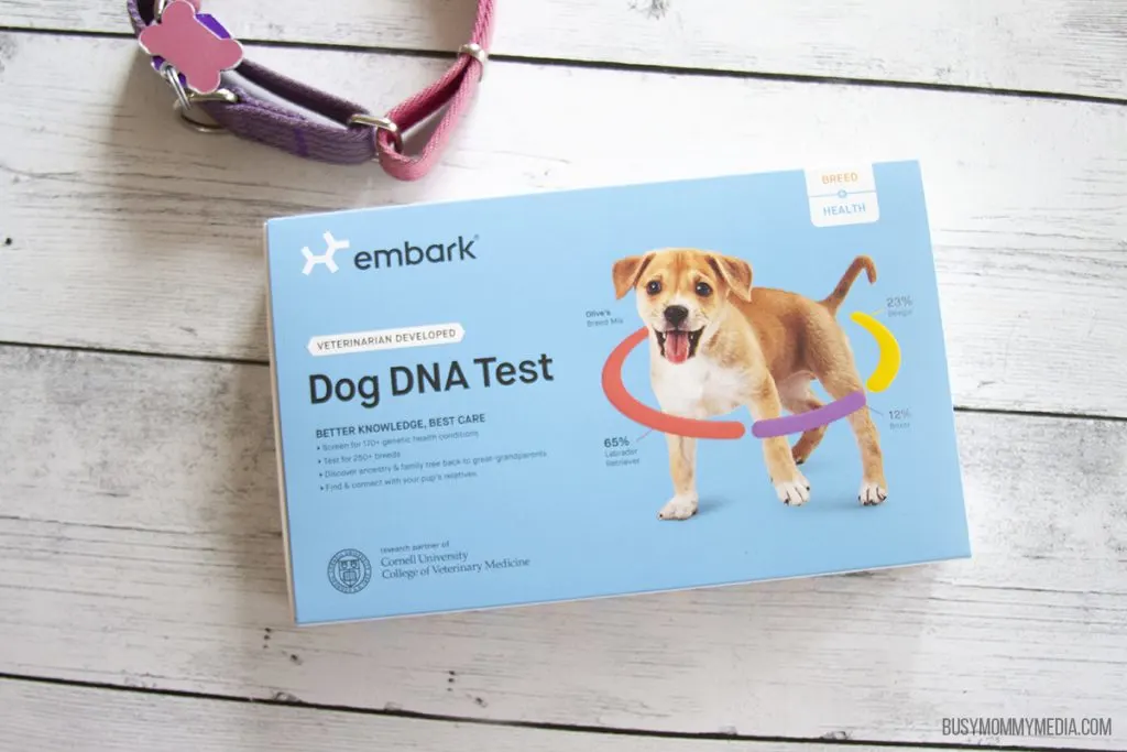 Is Dog DNA Testing Worth it - My Experience with The Embark Dog DNA Test