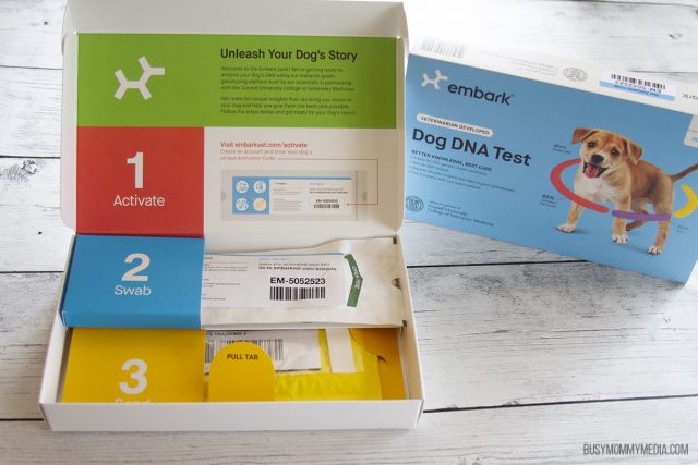Is Dog DNA Testing Worth it - My Experience with The Embark Dog DNA Test