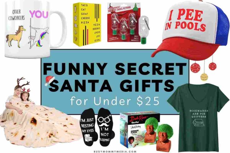 Funny Secret Santa Gifts for Under $25